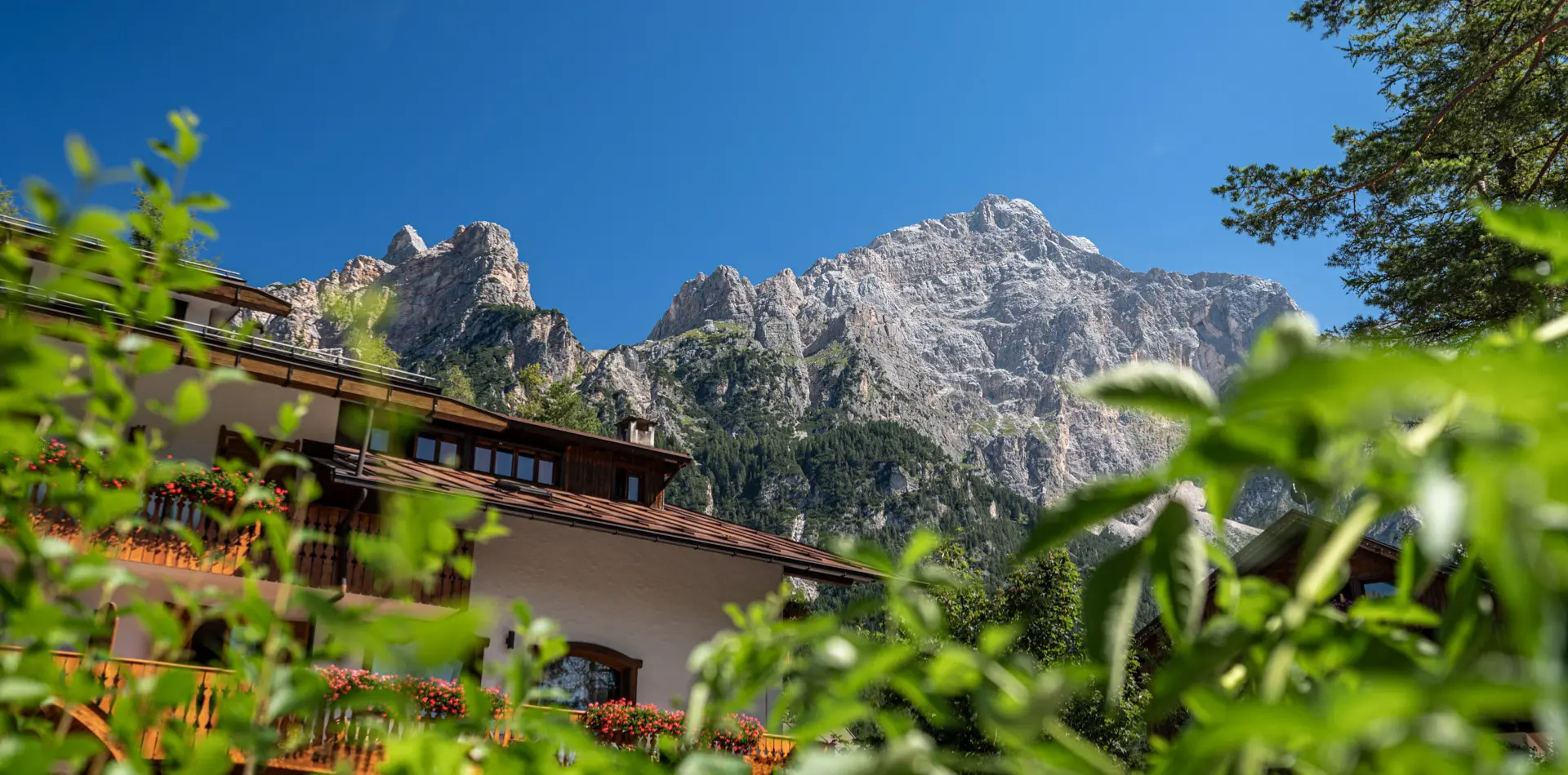 Gallery - Hotel Il Cardo